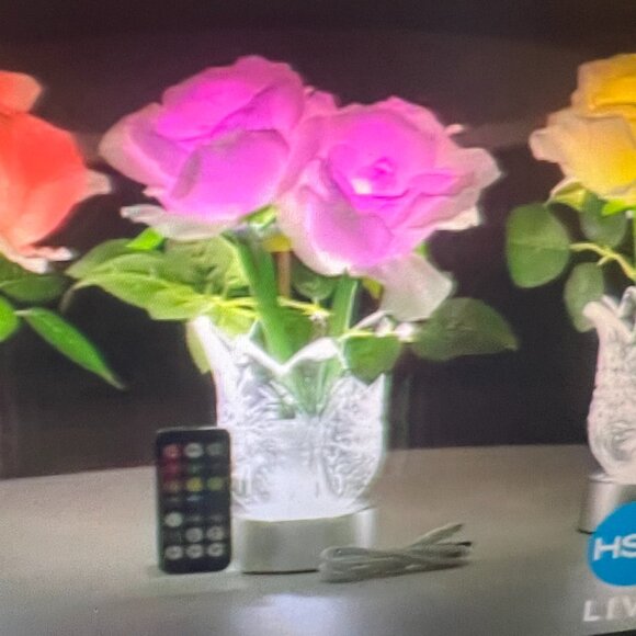 Living Glow | Accents | Living Glow Rechargeable Multi Color Rose Bush ...